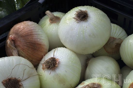 Як правильно зберігати цибулю корисні поради Читайте на Ukr Net