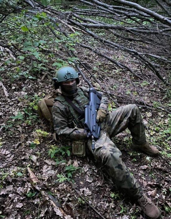 Бельгійські штурмові гвинтівки FN F2000: основні характеристики ...