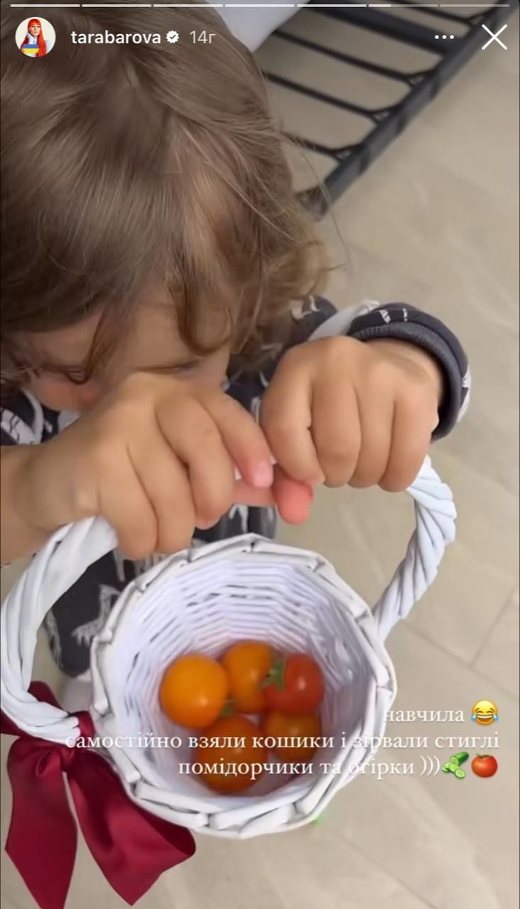 Светлана Тарабарова показала, как ее дети собирали урожай с огорода: фото | Новости шоу-бизнеса ...