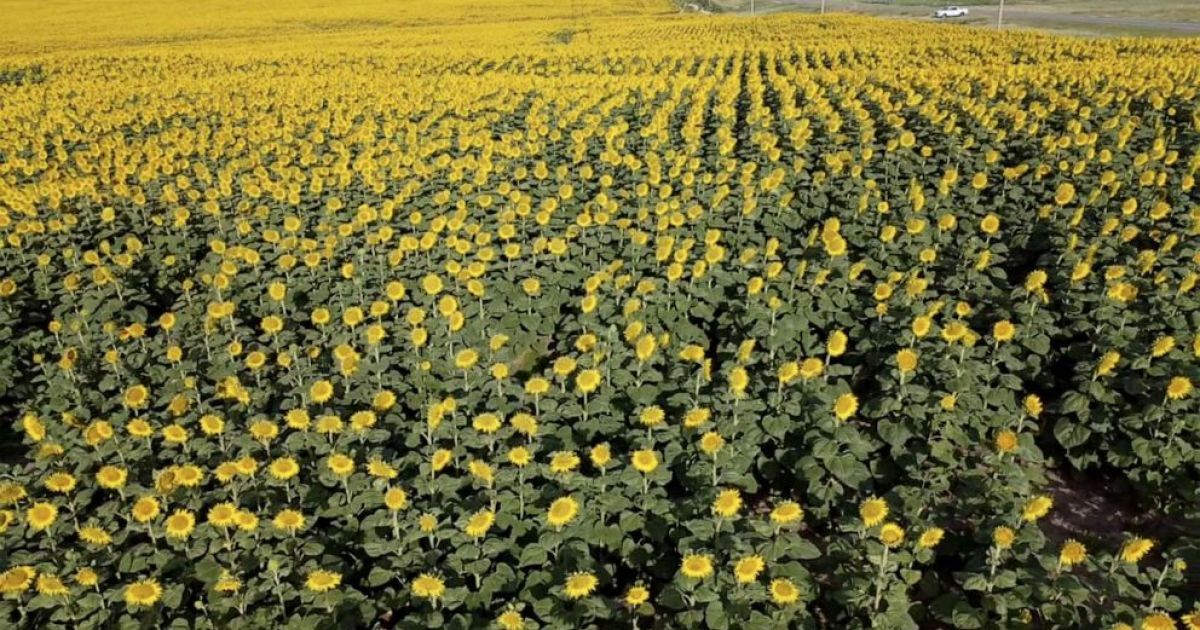 ЦНС на окупованих територіях загарбники проводять інвентаризацію