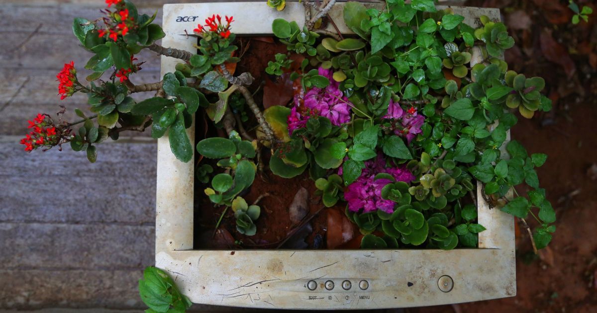 Collapse OS: створено операційну систему на випадок апокаліпсису ...