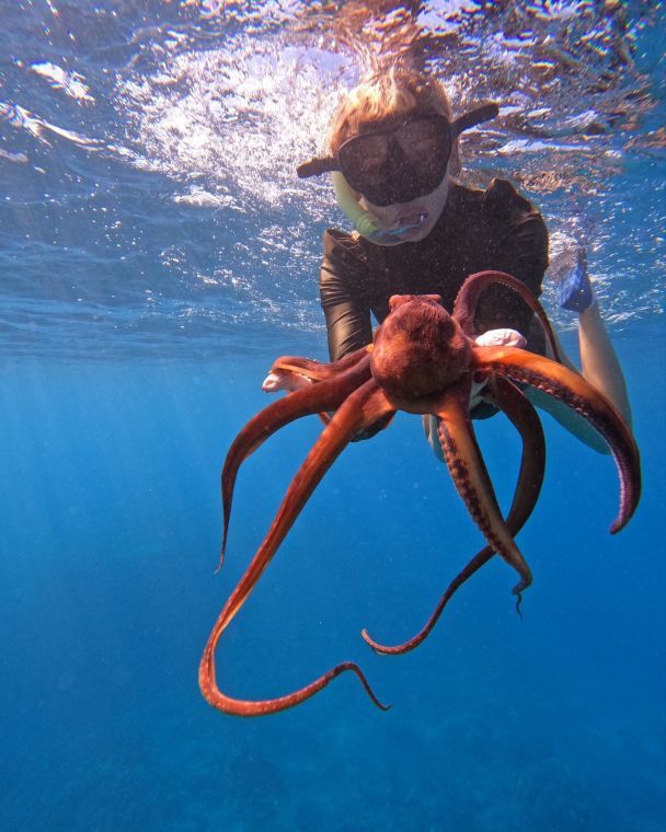Сара Мішель Геллар повеселилася у Лас-Вегасі на концерті Кайлі Міноуг ...