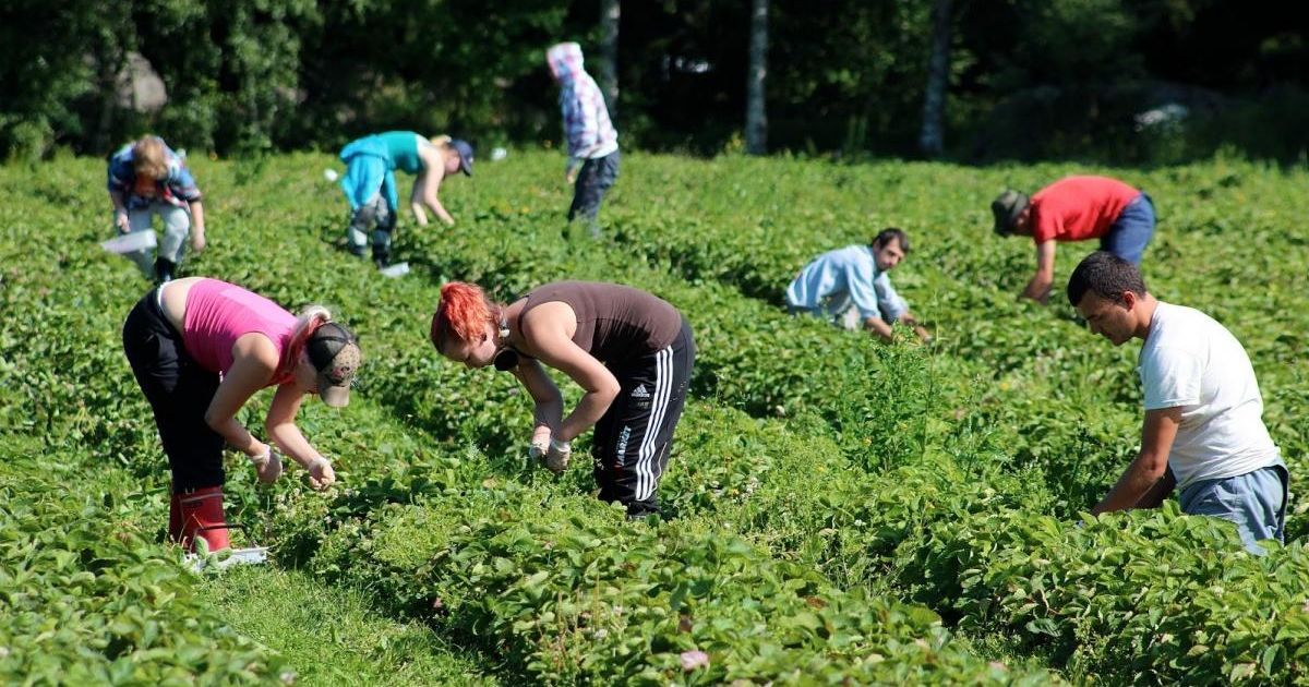 Робота в Україні і за кордоном: як не потрапити в трудове рабство і де ...