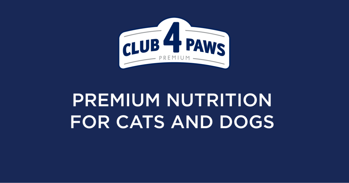 Club 4 Paws: висока якість за доступною ціною — Дім