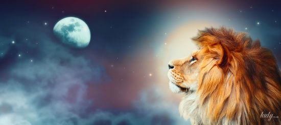 Якому знаку зодіаку пощастить 24 жовтня Читайте на Ukr Net