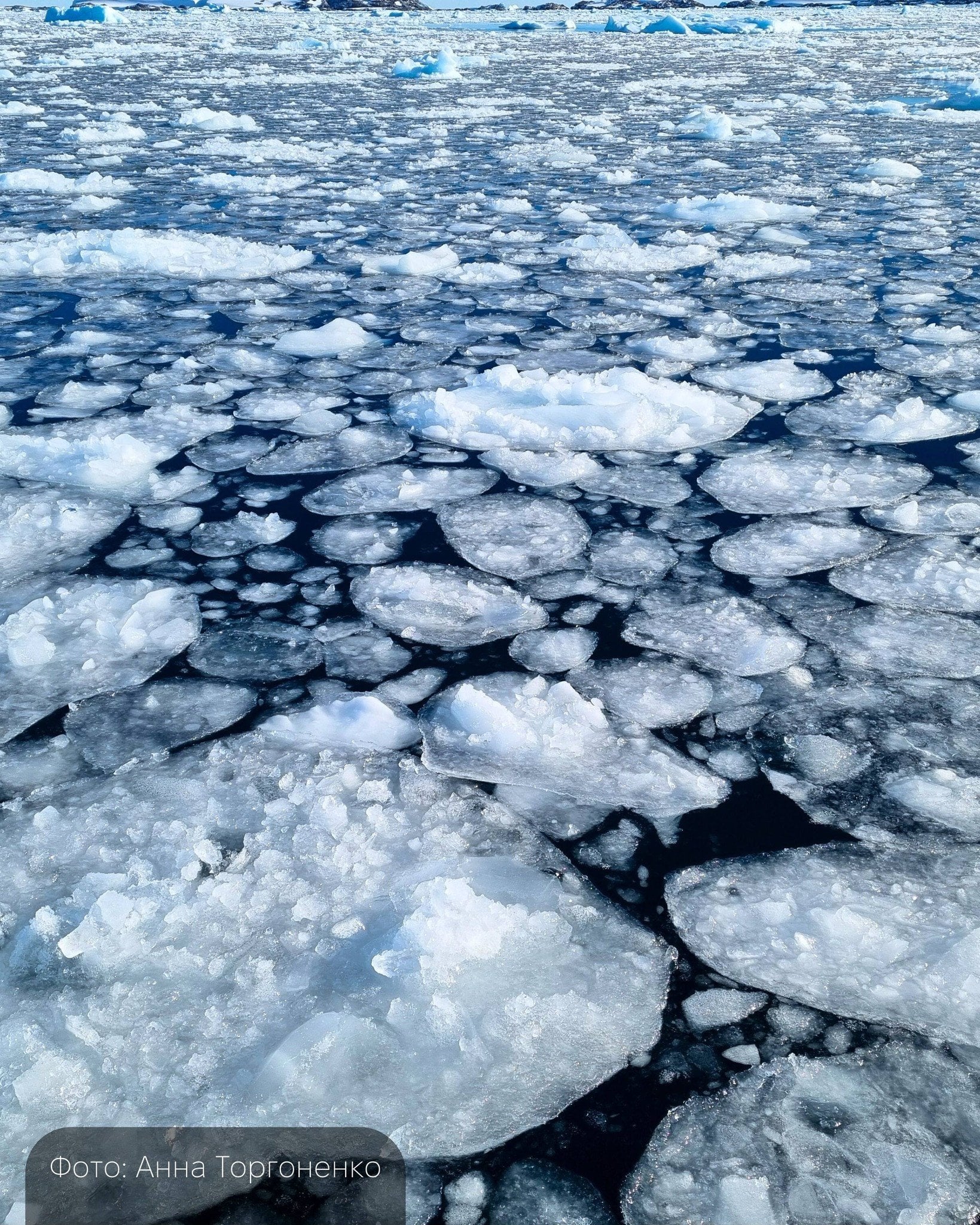 Снежные пончики в Антарктиде: полярники показали редкие явления — Наука ...