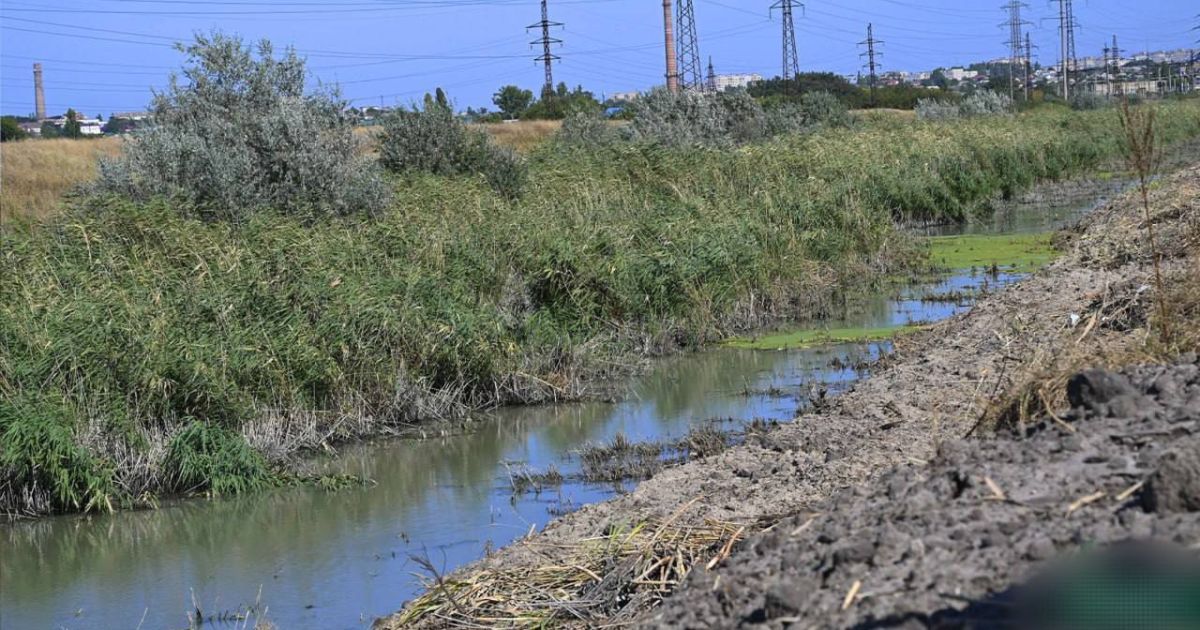 The occupiers in Melitopol made an ecocide - they are destroying the ...