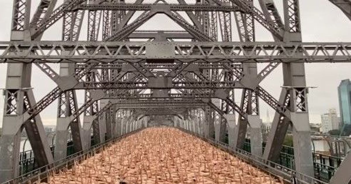 5500 людей роздягнулися догола на мосту - ТСН, новини 1+1 — Цікaвинки