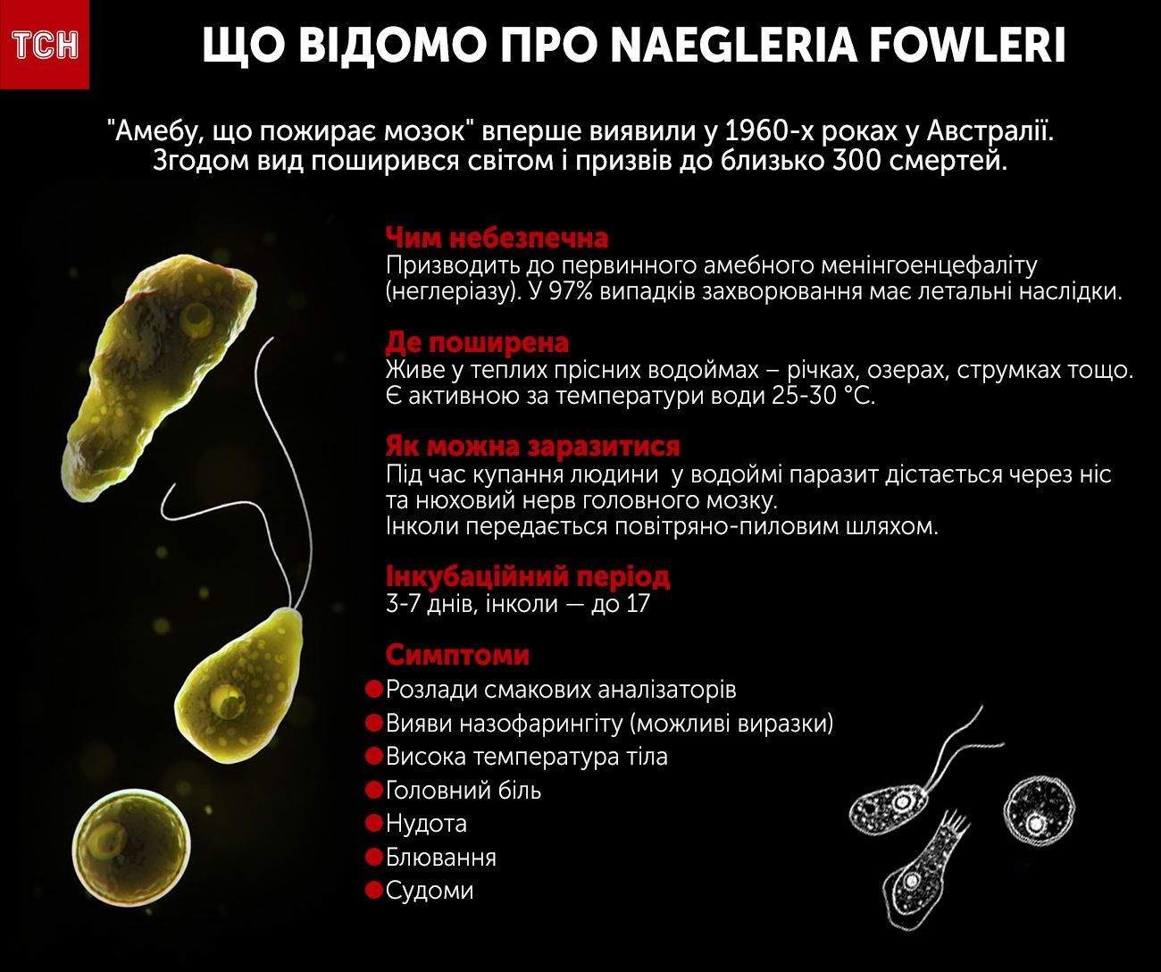 У США амеба з'їла мозок 7-річного хлопчика після купання в озері